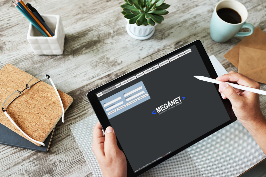 meganet_erp | Meganet